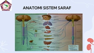 sistem saraf 1234566789001245778990.pptx