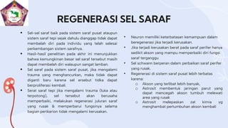 sistem saraf 1234566789001245778990.pptx