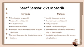 SISTEM SARAF SARAF SARAFSARAF .pptx