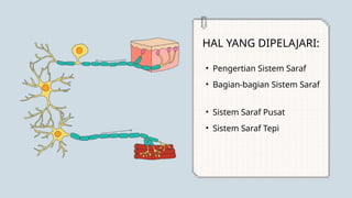 Presentasi Sistem Saraf pada manusia.pptx