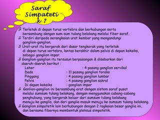 Sistem saraf | PPT
