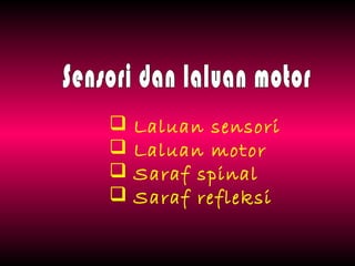 Sistem saraf | PPT