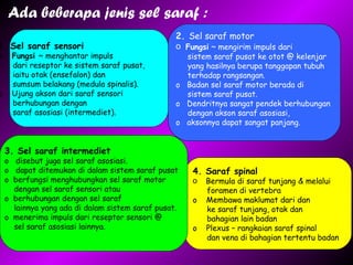 Sistem saraf | PPT