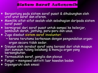 Sistem saraf | PPT