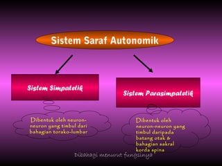 Sistem saraf | PPT