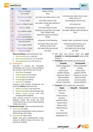 MATERI Sistem saraf KELAS XI SMA | PDF
