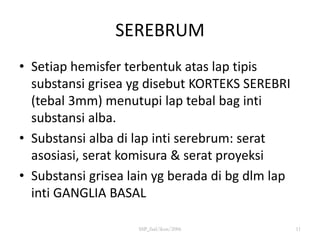 Sistem saraf faal | PPT