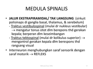 Sistem saraf faal | PPT