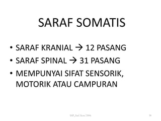 Sistem saraf faal | PPT