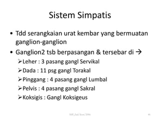Sistem saraf faal | PPT