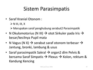 Sistem saraf faal | PPT