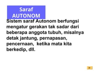 Sistem Saraf, Indera, dan Endokrin Manusia.ppt