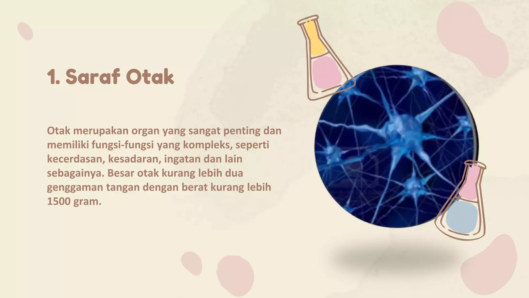 SISTEM SARAF KELAS XI.pptx