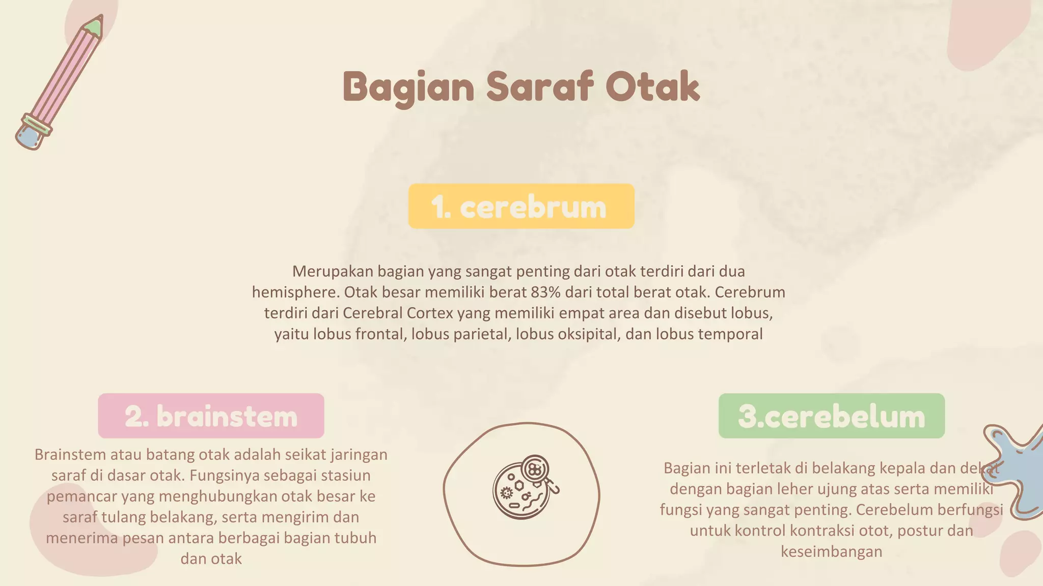 SISTEM SARAF KELAS XI.pptx