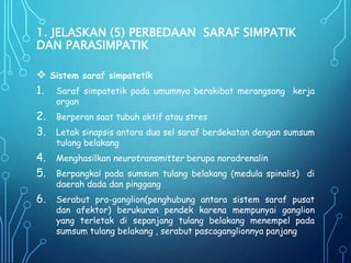 Sistem saraf kelompok 3 | PPTX