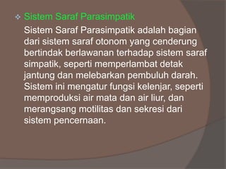 Sistem saraf | PPTX