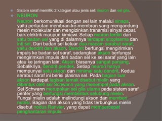 Sistem saraf | PPTX