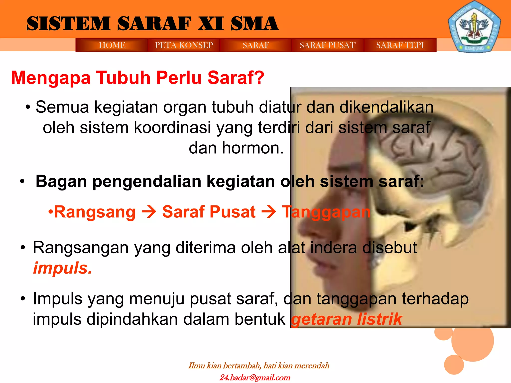 Sistem saraf Oleh M.Badar | PPTX