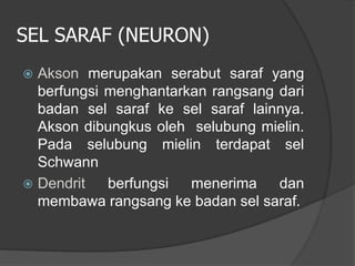 Sistem saraf manusia | PPTX