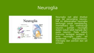 PPT SISTEM SARAF MANUSIA KELOMPOK 5.pptx