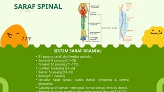 PPT SISTEM SARAF MANUSIA KELOMPOK 5.pptx