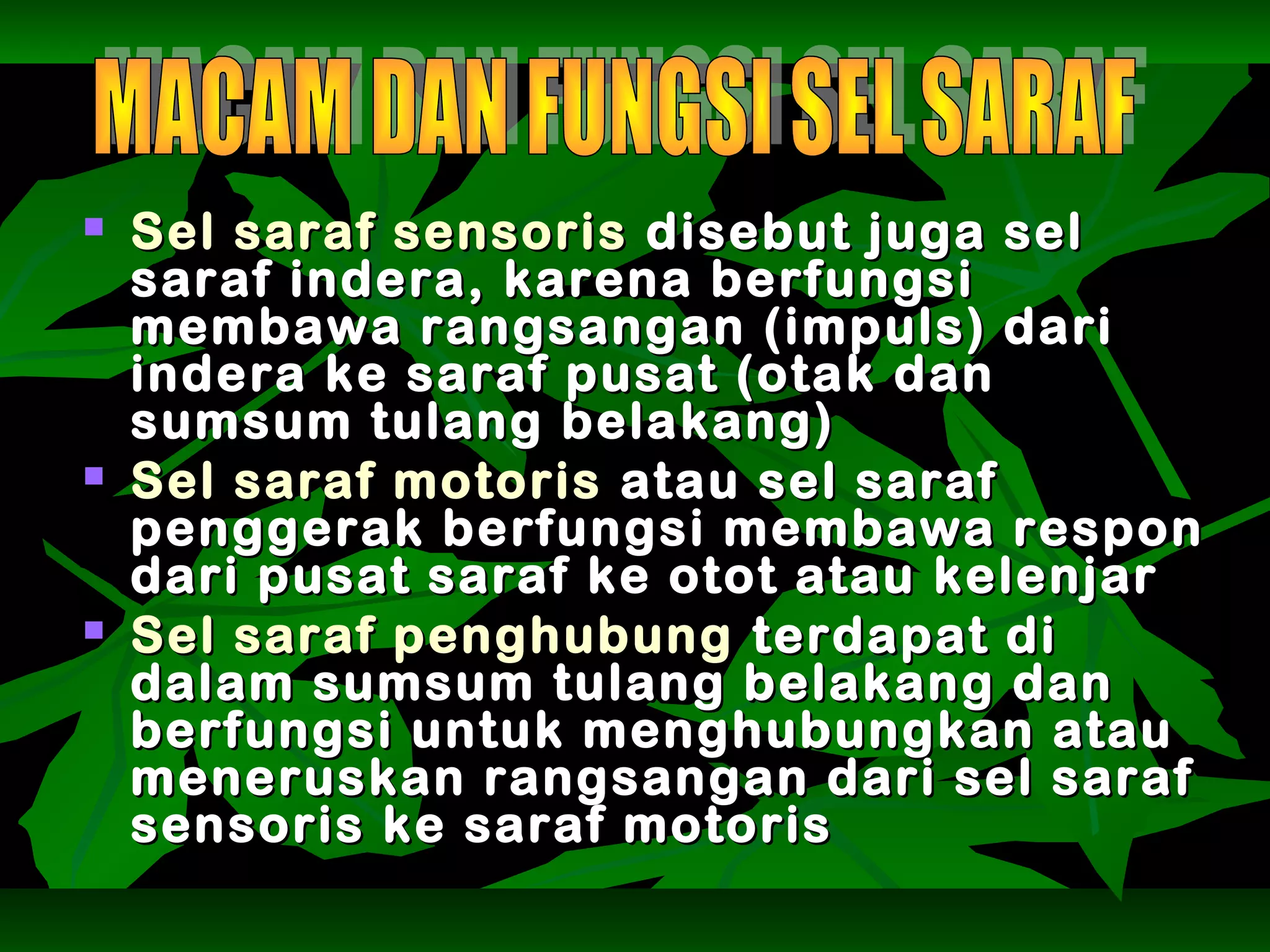 Sistem Saraf Manusia1 Ppt