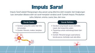 Materi Sistem Saraf Pada Manusia IPA kelas 6.pdf