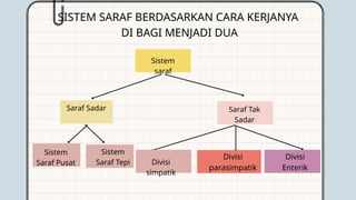 Sistem Saraf Manusia dan bagian-bagiannya.pptx