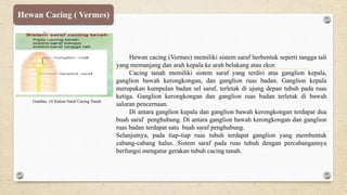 SISTEM_SARAF nadia.pptx