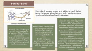 SISTEM_SARAF nadia.pptx