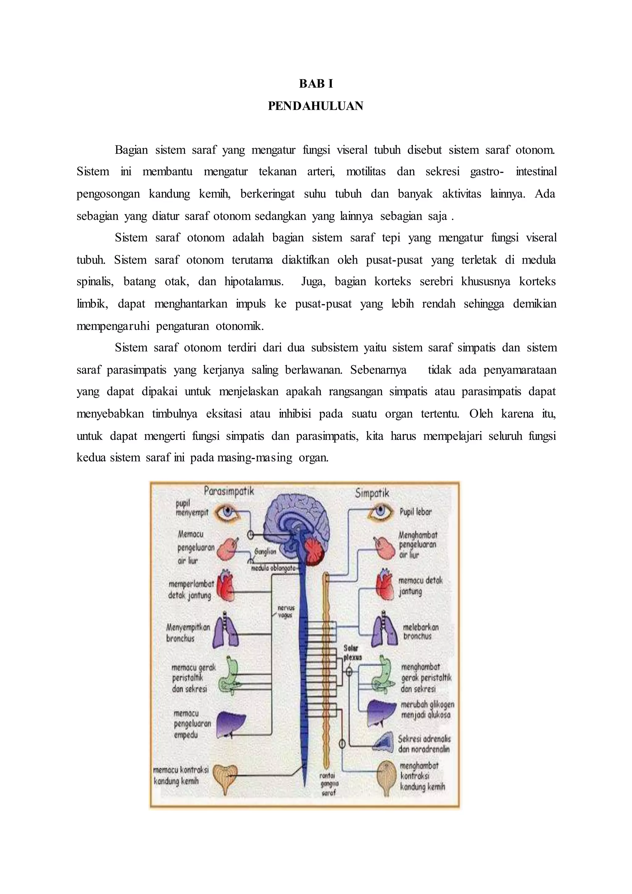 Sistem Saraf Otonom | DOCX