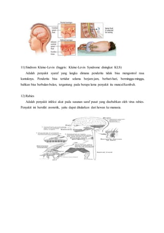 Sistem Saraf Otonom | DOCX