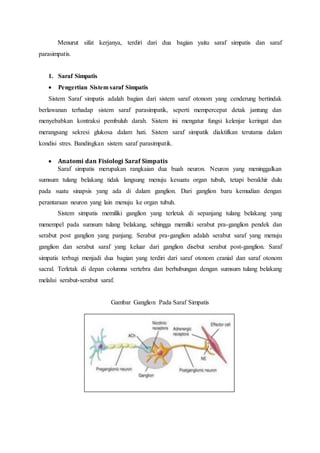 Sistem Saraf Otonom | DOCX