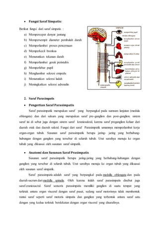 Sistem Saraf Otonom | DOCX