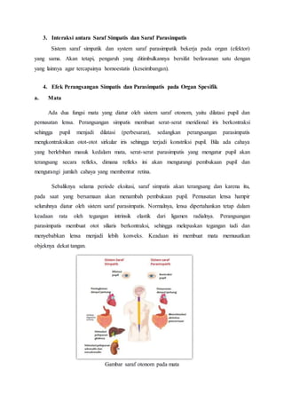 Sistem Saraf Otonom | DOCX