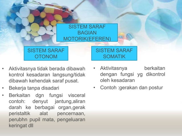 SISTEM SARAF OTONOM_.SISTEM SARAF OTONOM | PPT