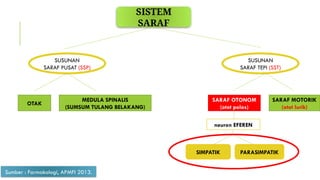 sistem saraf otonom farmakologi kelas 11 | PPTX