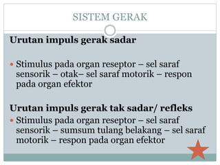 Sistem saraf pada manusia | PPTX