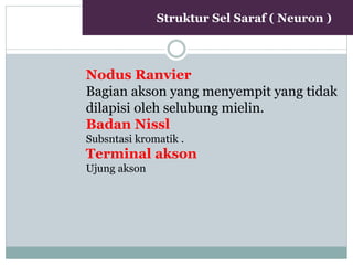 Sistem saraf pada manusia | PPTX