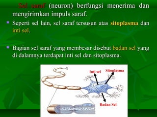 Sistem saraf pada manusia | PPT