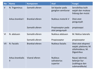 SISTEM SARAF PERIFER dan OTONOM.pdf