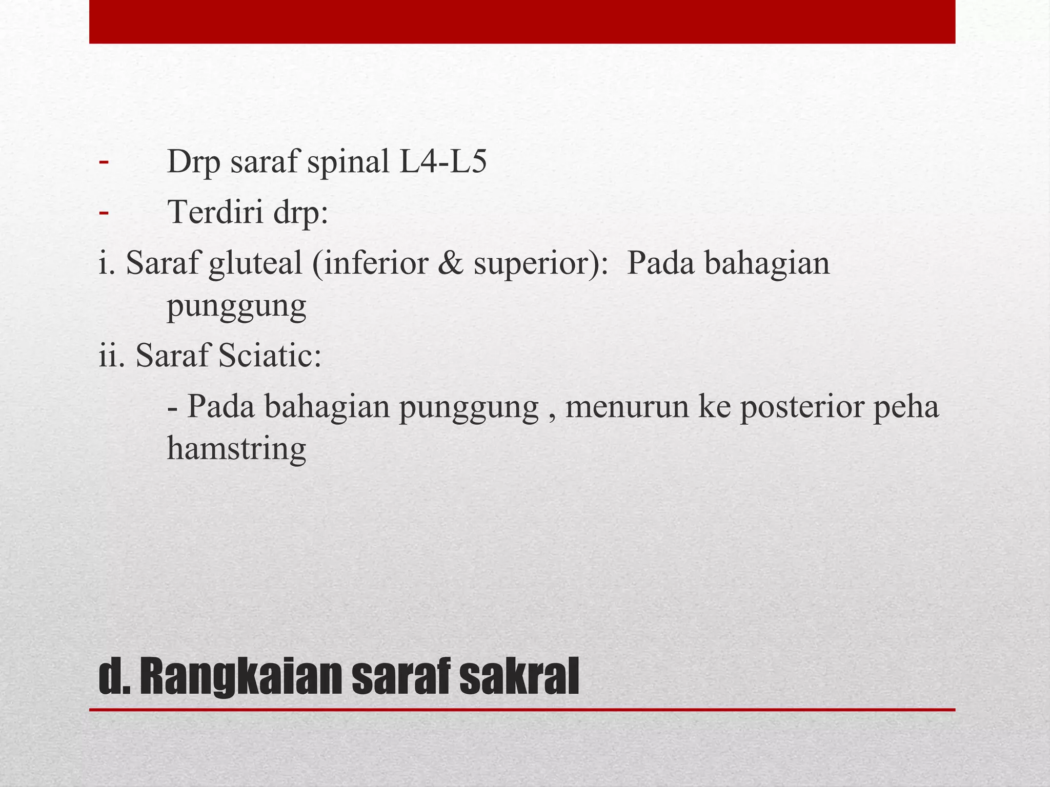 SISTEM SARAF PERIFERI | PPT