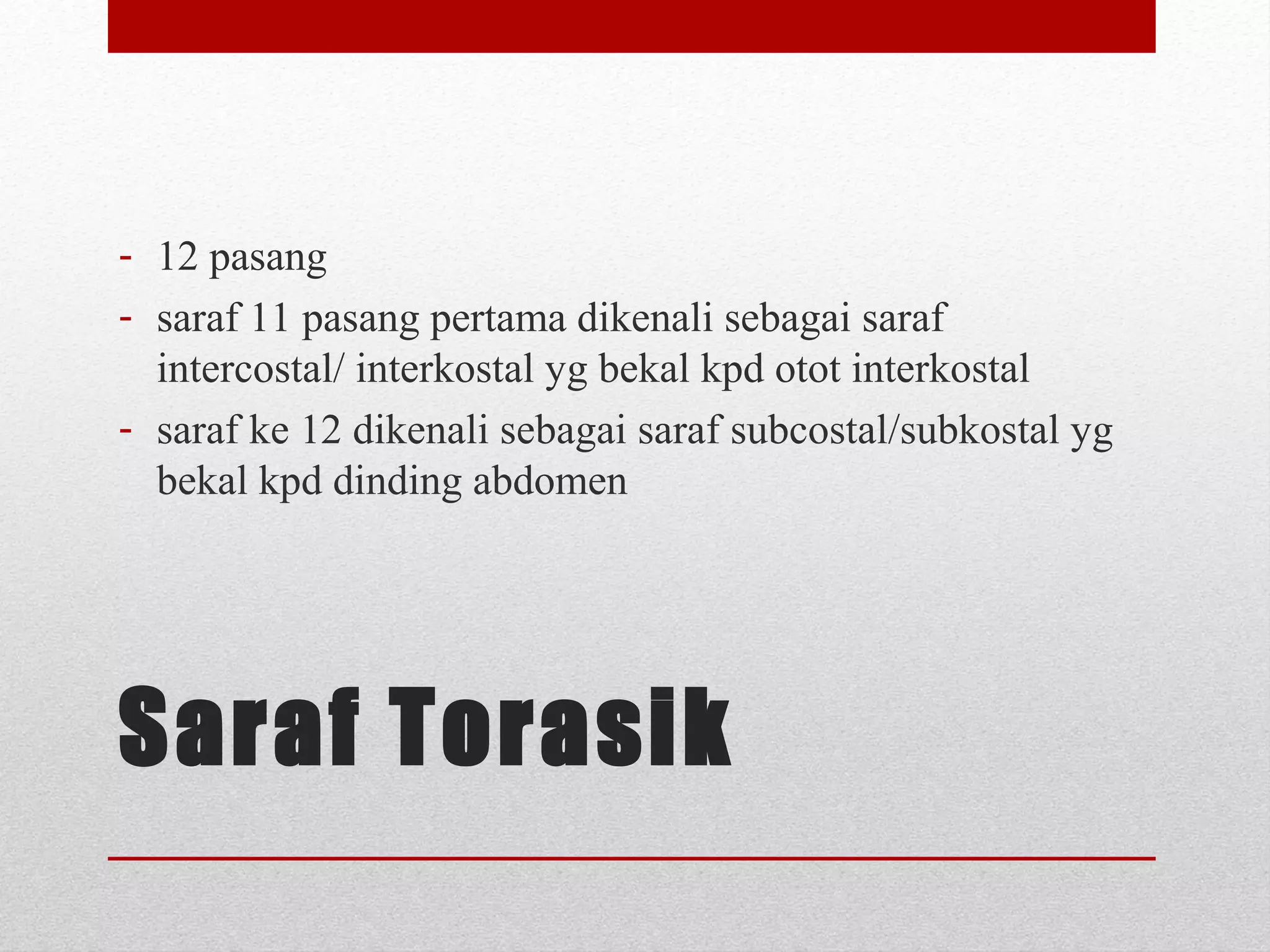 SISTEM SARAF PERIFERI | PPT
