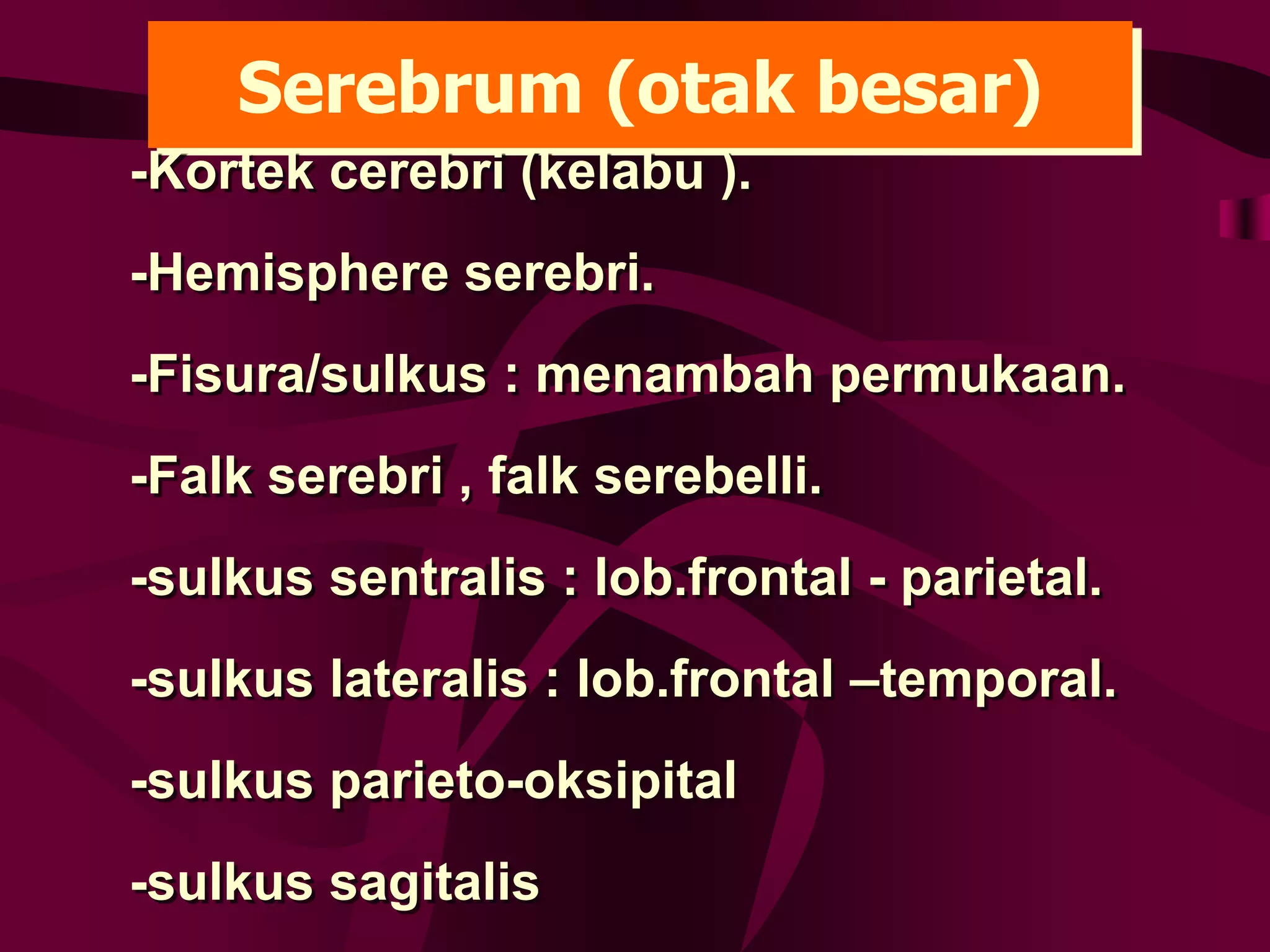 SISTEM_SARAF_ppt.ppt