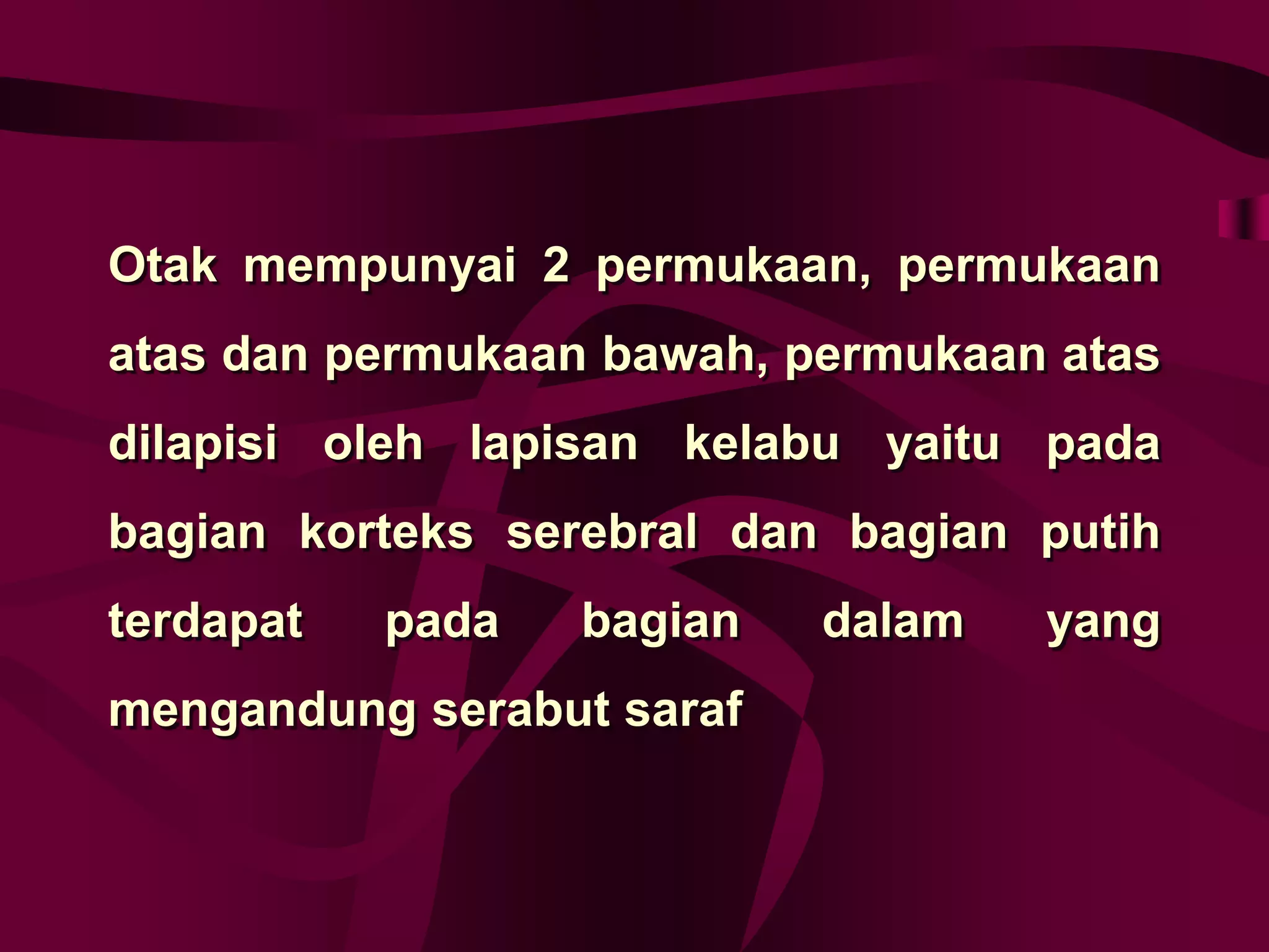 SISTEM_SARAF_ppt.ppt