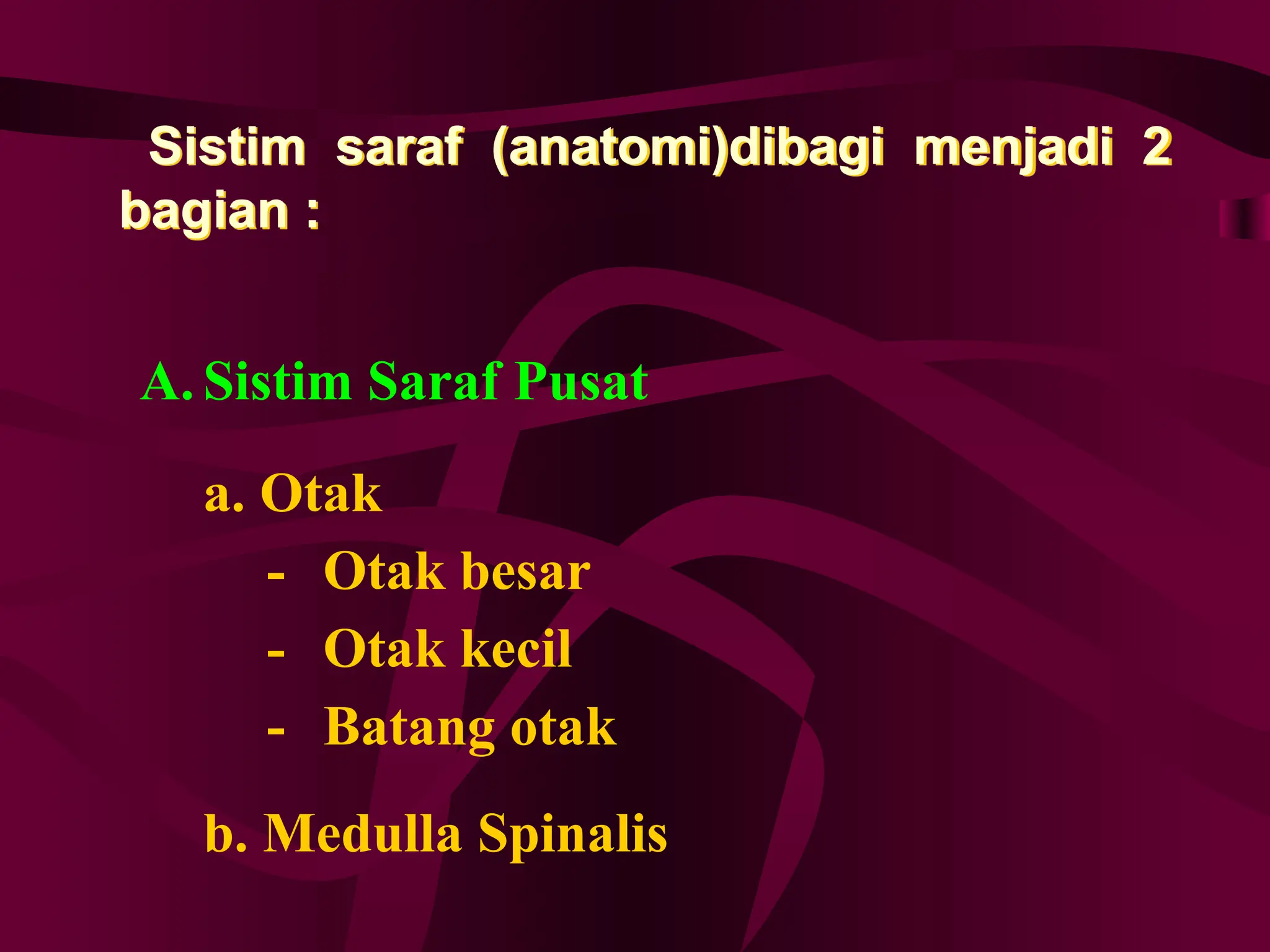 SISTEM_SARAF_ppt77655544576787556546.ppt