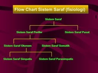 SISTEM_SARAF_ppt77655544576787556546.ppt