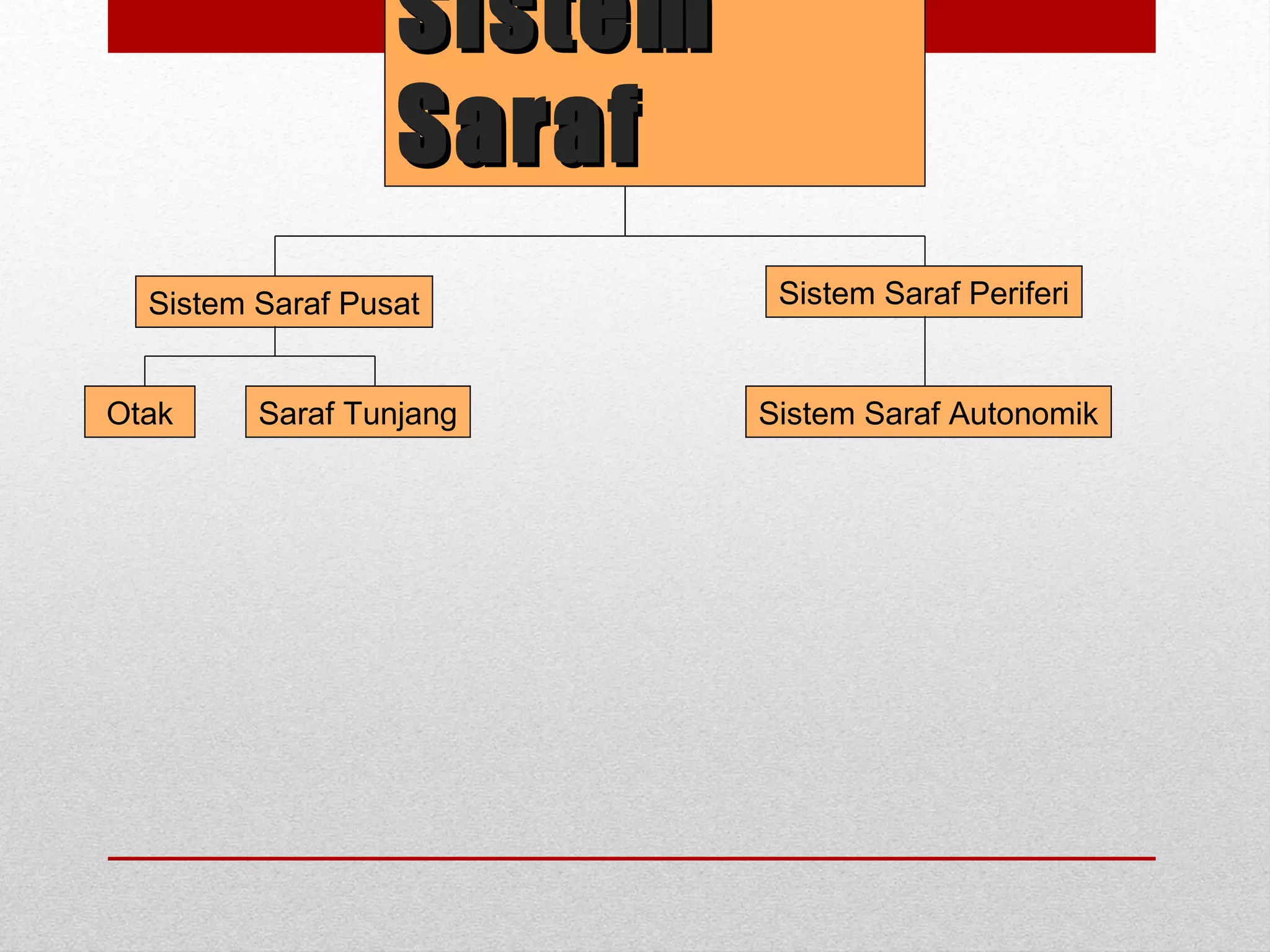 SISTEM SARAF PUSAT | PPT