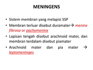 SISTEM SARAF PUSAT.pdf