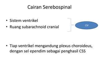 SISTEM SARAF PUSAT.pdf
